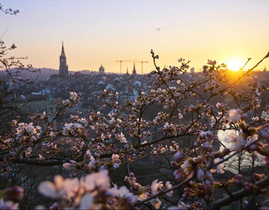 ¿QUÉ HACER EN BERNA? Primera parte - El Viajero Experto