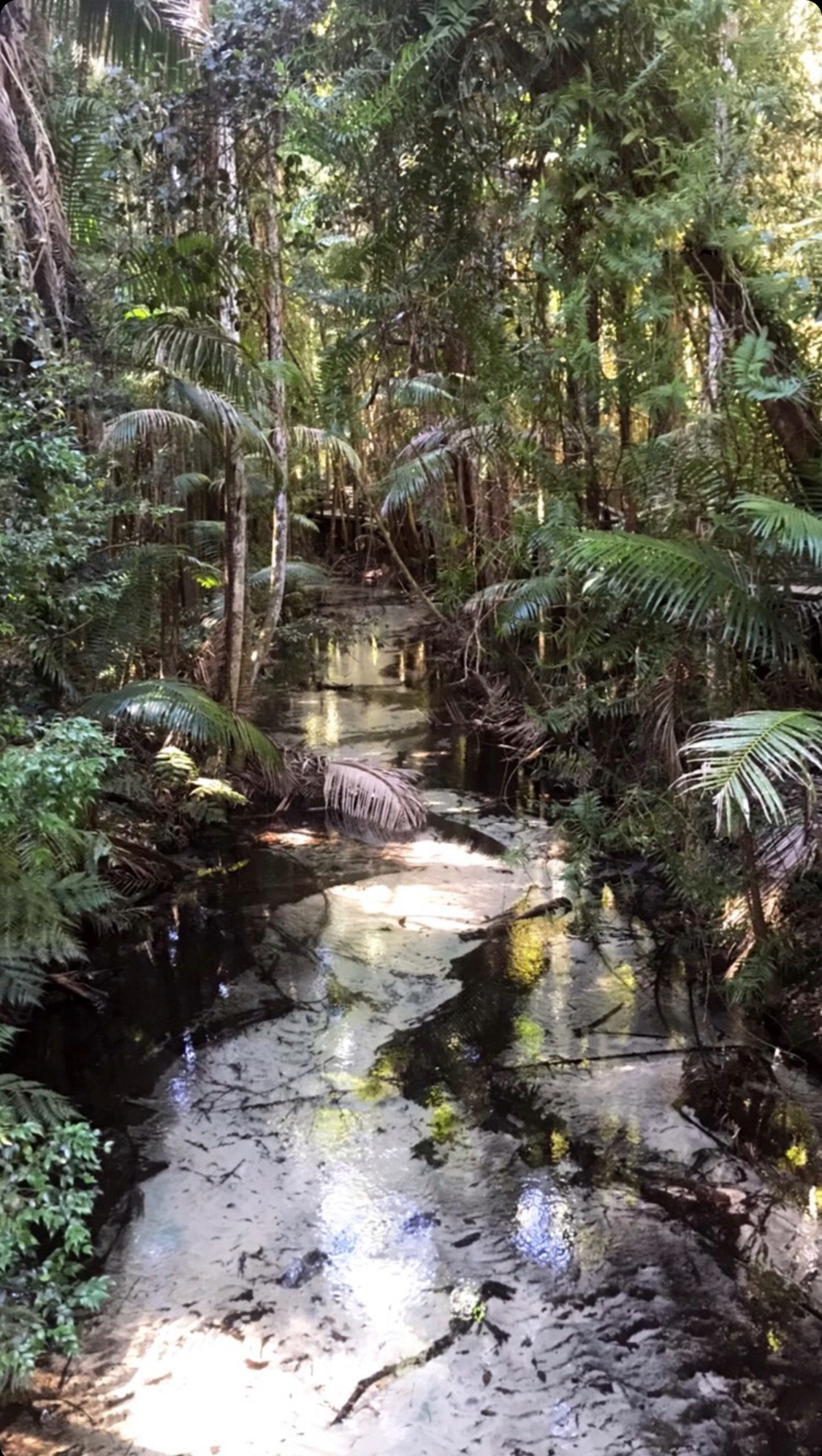 Fraser Island: cómo llegar y qué ver - El Viajero Experto