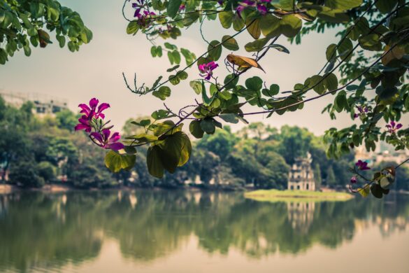 Islas Ryukyu - El Viajero Experto